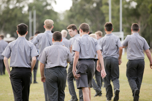 Transport Access Project- Kingswood Station Upgrade