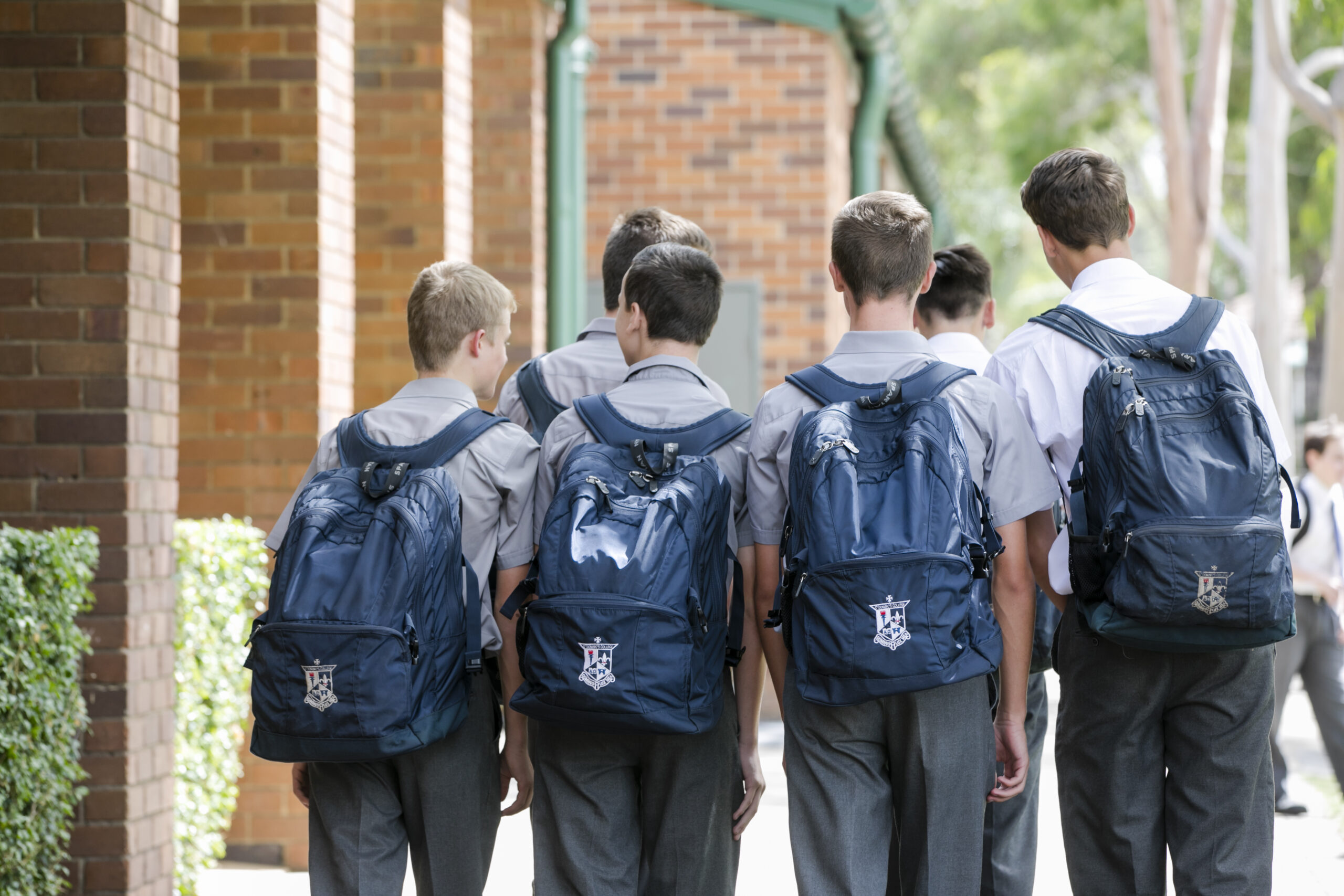 Welcome Back to Term 4