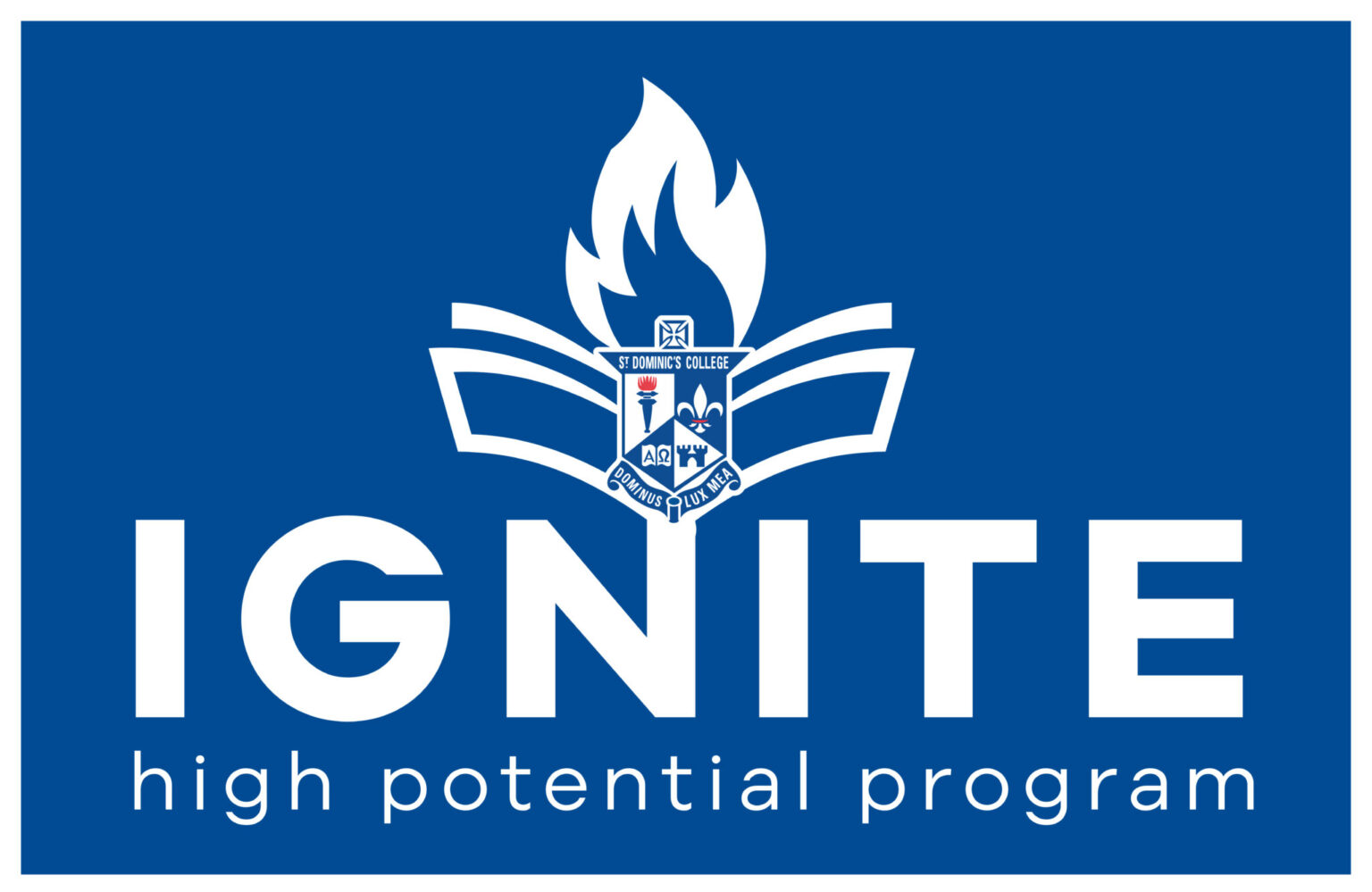 Ignite High Potential Program